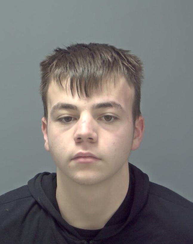 Bury St Edmunds teenager sentenced to life imprisonment for murder of ...
