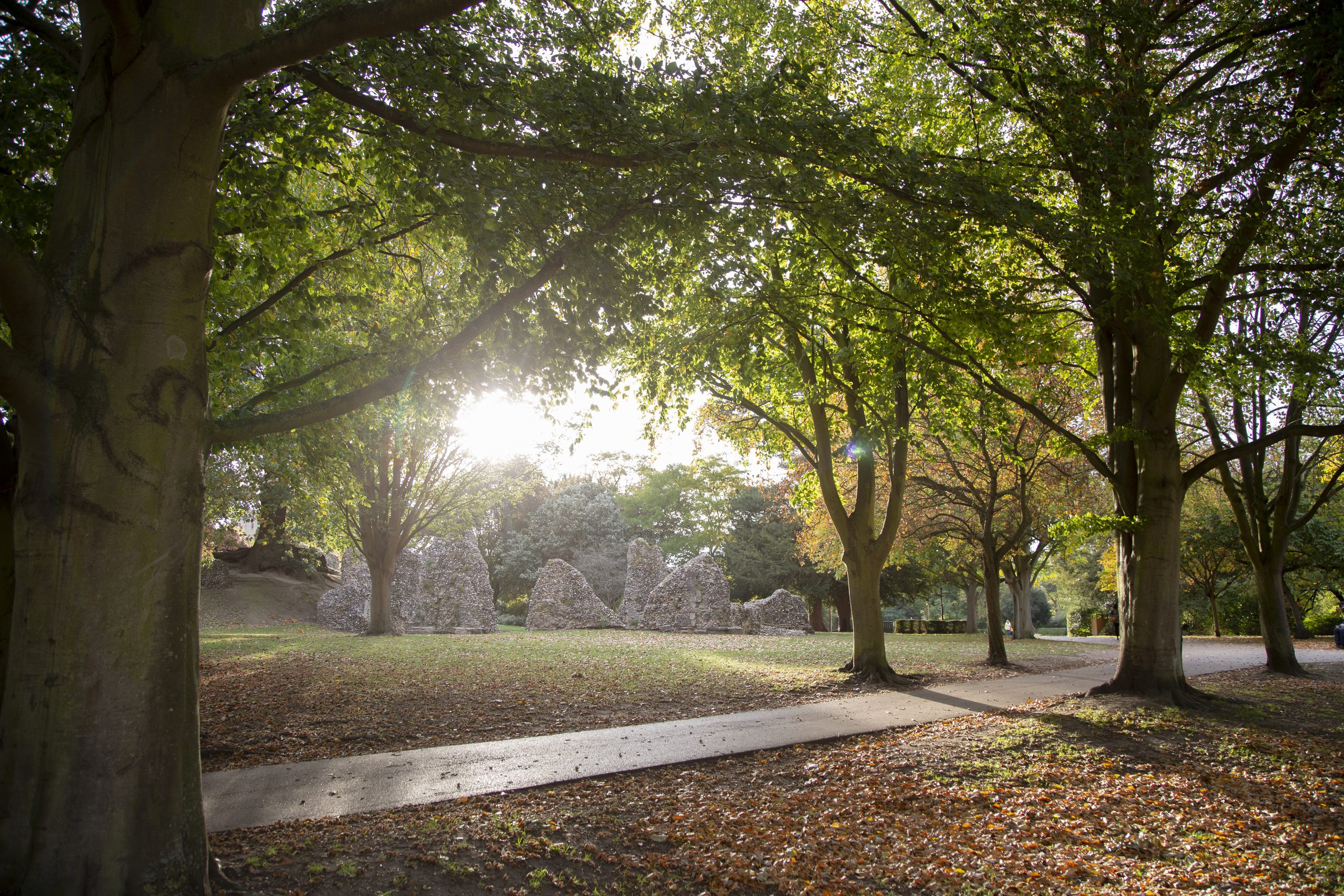 Six West Suffolk parks and open spaces win prestigious national Green ...
